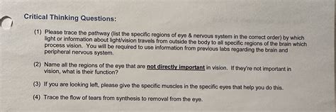 Solved Critical Thinking Questions 1 Please Trace The