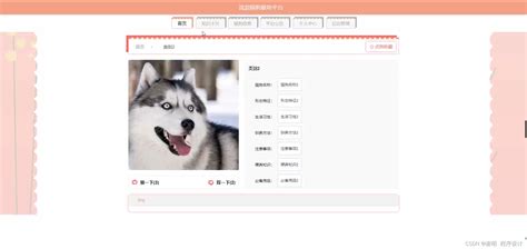 Springbootjavaphpnodepython流浪猫狗救助平台【计算机毕设】php 流浪猫求助系统 Csdn博客