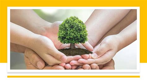 Aprende Sobre El Medio Ambiente Con Este Curso Gratis Facialix