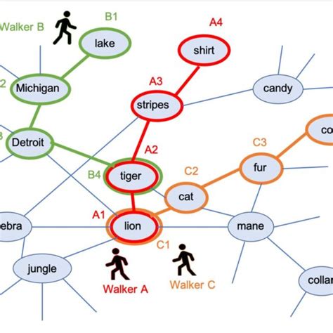A Schematic Of Random Walks Within A Semantic Network Walkers A And C Download Scientific