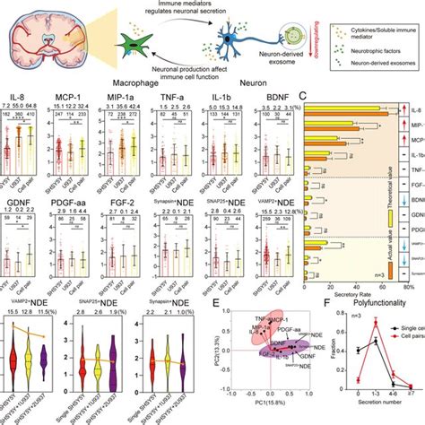 Analysis Of Intercellular Interaction Between Paired Neuron Microglia