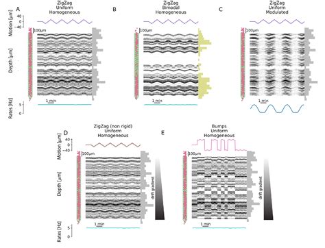 Figure 2 From A Modular Implementation To Handle And Benchmark Drift Correction For High Density