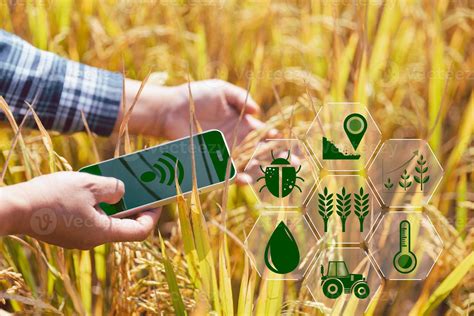 Smart Farming With Internet Of Things IoT Concept Agriculture And Modern Technology Are Used