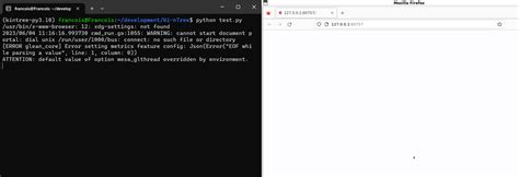 Libgstapp Shared Libraries Not Available On Wsl2 · Issue 670 · Flet