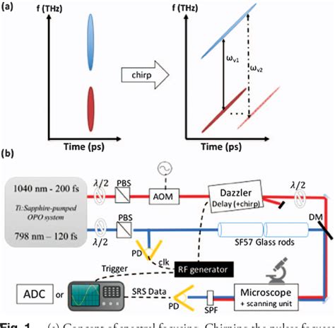 Figure 1 From High Speed Stimulated Hyperspectral Raman Imaging Using Rapid Acousto Optic Delay