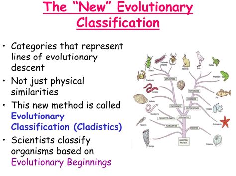 Ppt Evolutionary Classification And Taxonomy System A Comprehensive Overview Powerpoint