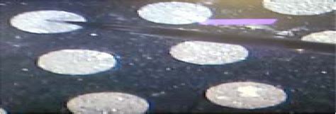 Microscopic Image Of The NPDA Device Download Scientific Diagram