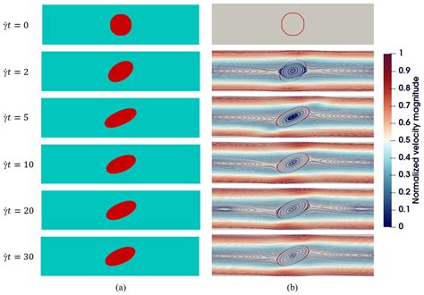 A Typical Evolution Of Deformation For An Initially Circular 2d Droplet Download Scientific