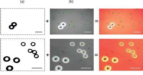 differentiated image preprocessing and recognition of light patterns