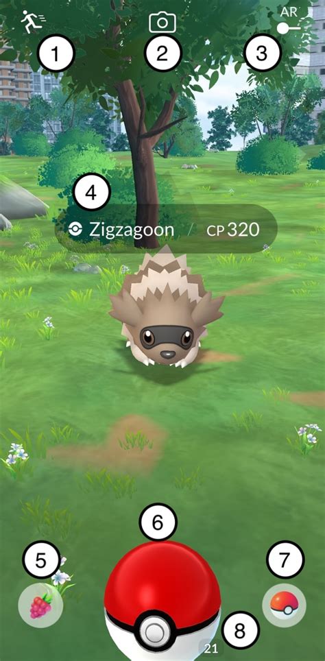 Finding And Catching Wild Pokémon — Pokémon Go Help Center
