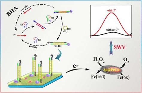 Cooperative Amplification Of Aufeco As Mimetic Catalytic Nanozymes And
