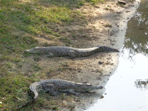 မယ္လမုေစတီေတာ္ မယ္လမုေစတီေတာ္အဘိဓမၼာျပန့္ပြားေရးအသင္းၾကီး