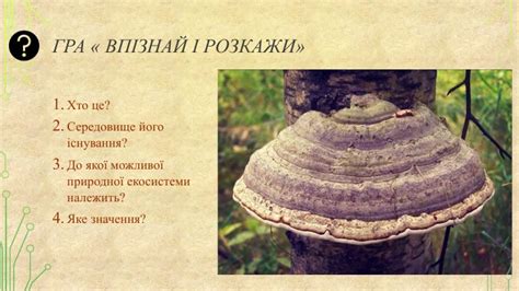 Презентація «Що таке середовище існування Пізнаємо природу 6 клас