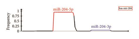 An Example Of Isomir Expression And Interaction With Circrna A B Download Scientific Diagram