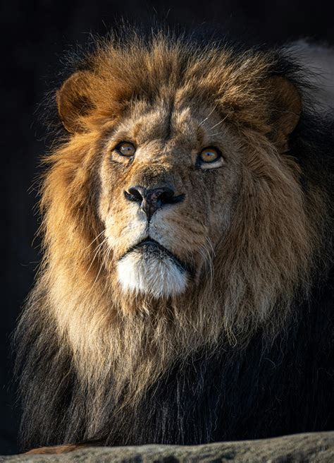 Bigbootygothicwomen Photos Download The Best Free Bigbootygothic