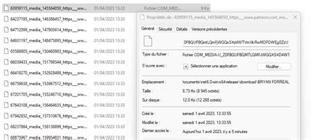 Format Of Videos · Issue 175 · Alexcsdev Patreondownloader · Github