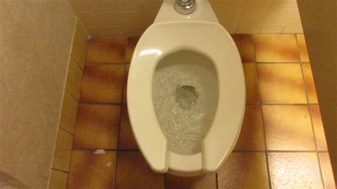 1976 Eljer Sanus Toilet Youtube