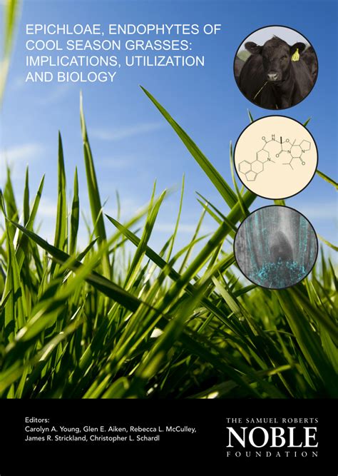 Pdf The Role Of Endophytes In Summer Dormant Tall Fescue
