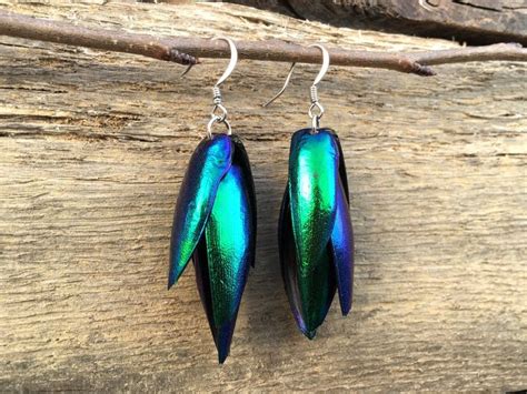 Real Beetle Wing Earrings Insect Earrings Beetle Earrings Real Bug