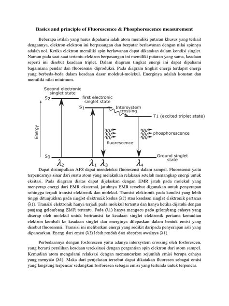 Fluorescence Vs Phosphorescence Pdf