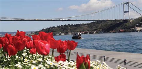 İstanbul Lale Festivali 2025 Nukteler