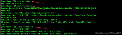 linux下使用jenkins教程 一 csdn博客