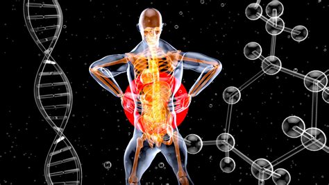 Genetics And Back Pain Inheritance Or Just A Blueprint Coastal Wellness
