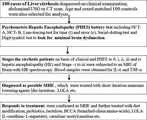 Importance Of 1 H Mr Spectroscopy Of The Brain To Identify The Minimal Hepatic Encephalopathy In