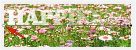 Using The Transparency Tool In PHOTO PAINT Corel Discovery Center