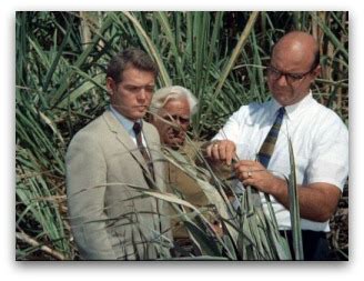 Hawaii Five O Sweet Terror Tv Gems