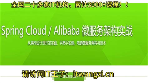 Spring Cloud Alibaba 微服务架构实战 Youtube