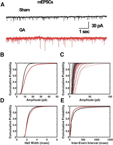 Ga Exposure Alters Nrt Neuron Mepsc Properties A Sample Of Original