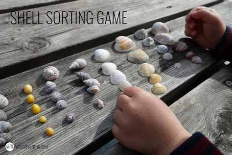 Shell Sorting Game Veggie Peloton