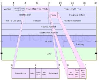 IPv4 Datagram Structure DEV DEP BLOG