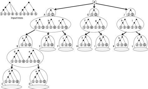 Enumeration Tree Example Each Node In The Tree Represents An Download Scientific Diagram