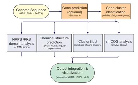 怎么找基因组上的次级代谢产物基因簇？ 基迪奥生物