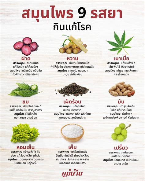 สมุนไพร 9 ยาสมุนไพร หมอบุญเกิด รักษาโรคผิวหนัง0951982648