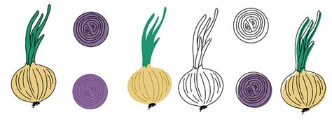 만화 갈색 또는 노란색 양파 세트 껍질을 벗기지 않은 전체 절반 신선한 농장 시장 야채 고립 된 전구 슬라이스 반쪽 조각 파 및
