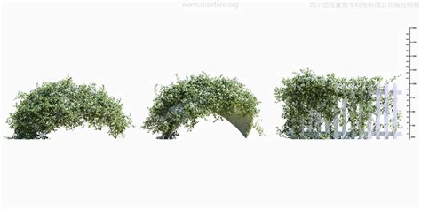 Plant Models Vol 128 Blender Superhive Formerly Blender Market