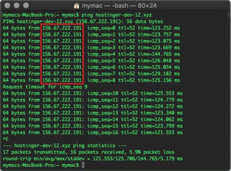 Check A Record Dns Making Sure Your Domain Is Correctly Pointed