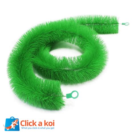 Koi Pond Hatching Spawning Brush Click A Koi Buy Koi Online Expert
