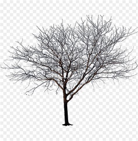 Free Download HD PNG Spring Tree Png PNG Transparent With Clear