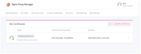 Nginx Proxy Manager Thiết Lập Chứng Chỉ Bảo Mật Wildcard Ssl Cho Subdomain Thuận Bùi Blog