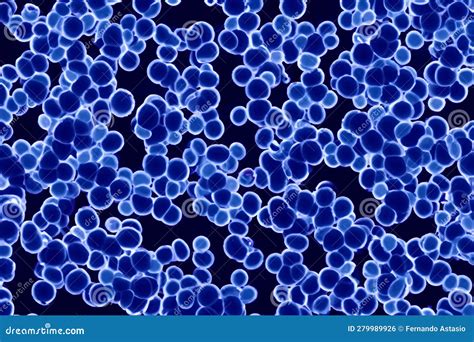 Bacteria Close Up Of 3d Microscopic Bacteria Bacteria Colony