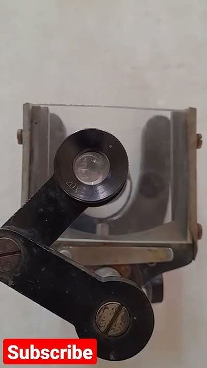 Dissection Microscope Youtube