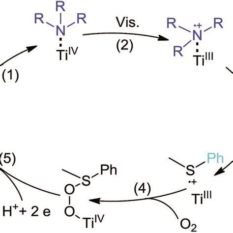 Proposed Mechanism For The Aerobic Oxidation Of Thioanisole On TiO2 Download Scientific Diagram