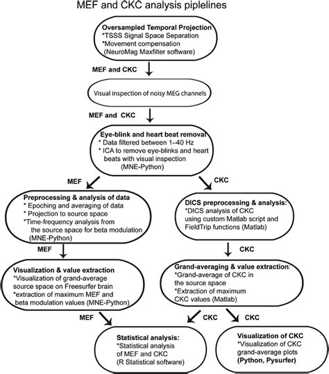 Mef And Ckc Analysis Pipelines A Flowchart Representing The Analysis Download Scientific