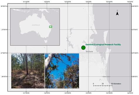 Remote Sensing Free Full Text A Comparison Of Uav Derived Dense