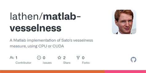 GitHub Lathen Matlab Vesselness A Matlab Implementation Of Sato S Vesselness Measure Using