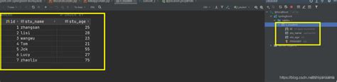 Springboot 使用mybatis 兼容表名大小写 Springboot Mybatis Databaseidaceryt的技术博客